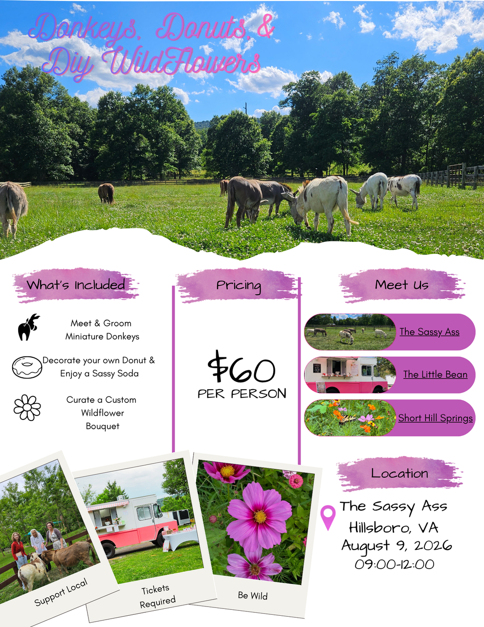 Donkeys, Donuts, and DIY Wildflowers - August 9th 09:00 - 12:00 – The ...