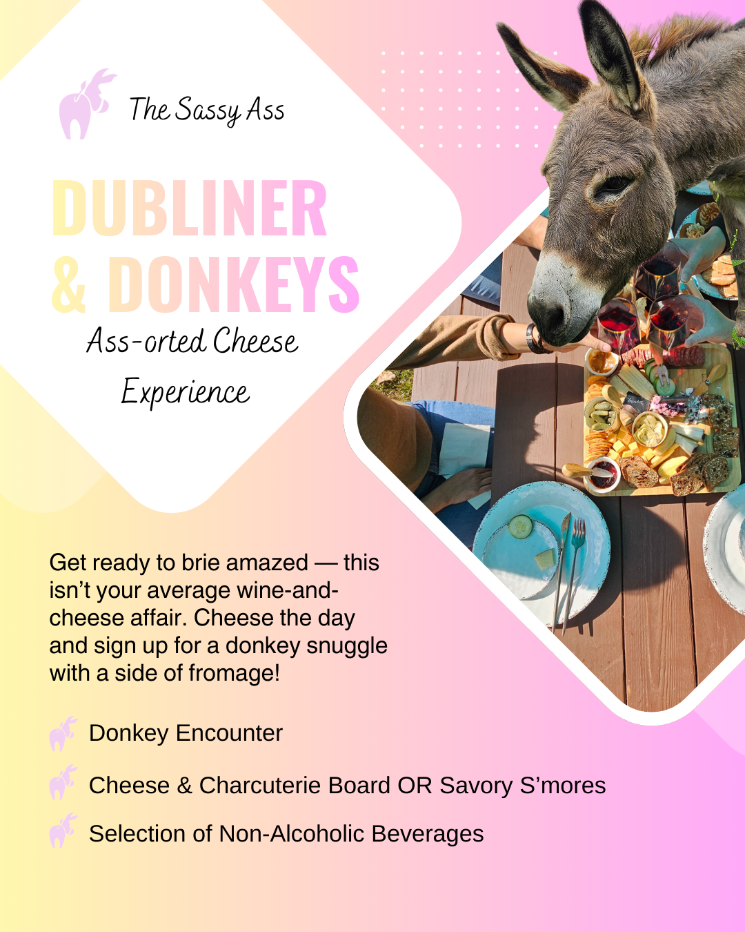 Dubliner & Donkeys Ass-orted Cheese Experience – The Sassy Ass